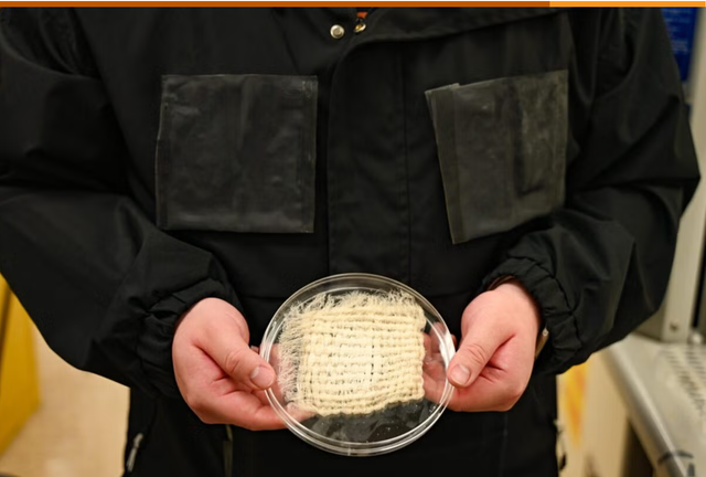 Jacket harvests up to 30 ounces of drinkable water a day out of thin ...